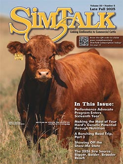 Index of /pdf/simtalk